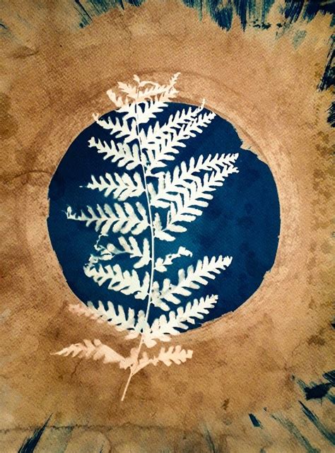 How To Tea Tone A Cyanotype Print Maverick Beyond Sun Prints