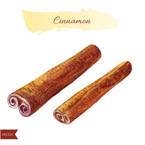 best cinnamon illustrations royalty free vector graphics and clip art