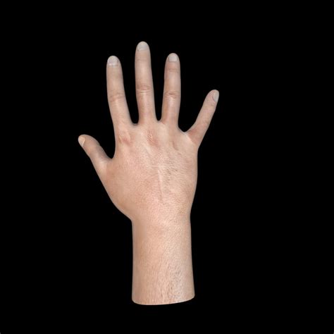 hand 3d model download free 3d models