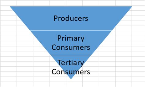 Inserting SmartArt Graphic In Excel Padhle