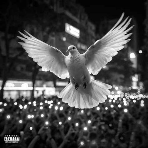 دانلود آهنگ جدید پوری بالام متن ترانه سل آهنگ