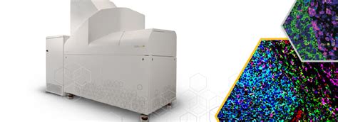 Webinar Understanding Breast Cancer Immune Infiltration With Multiplexed Tissue Imaging Using