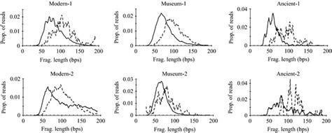 Fragment Length Distributions Of Dna From Three Age Classes Modern