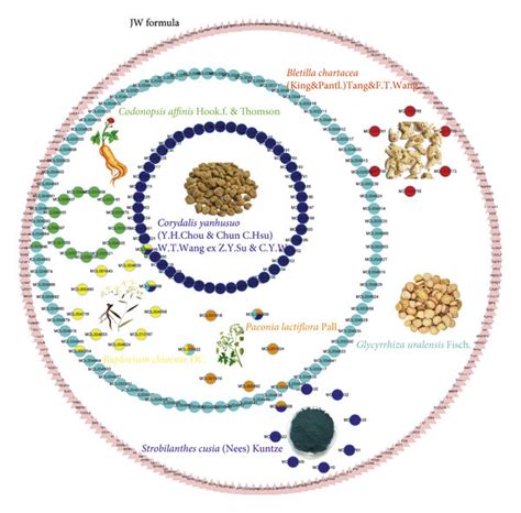 Component Target Network Of Jw Venn Plot Illustrates The Shared Download Scientific Diagram