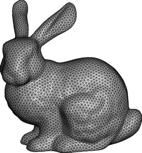 surface meshes mouette
