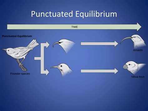 Speciation Pptx Infertility Reproductive Health