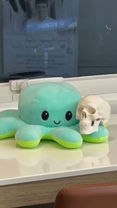 대구치아교정치과 환자 상담 모형 💀 Youtube