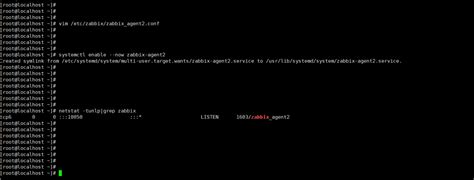 zabbix部署agent2 zabbix agent2 csdn博客