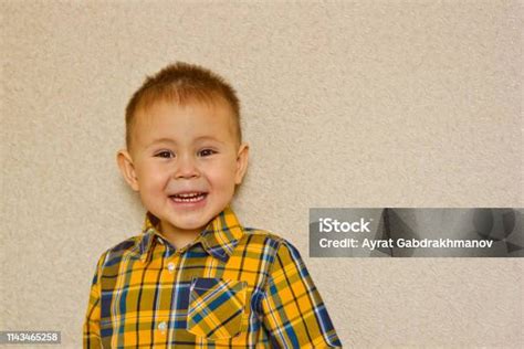 웃 고 카메라를 보고 체크 무늬 셔츠를 입고 행복 한 어린 소년 감정에 대한 스톡 사진 및 기타 이미지 감정 귀여운 남성 Istock