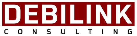 digital excellence for business elevation debilink consulting