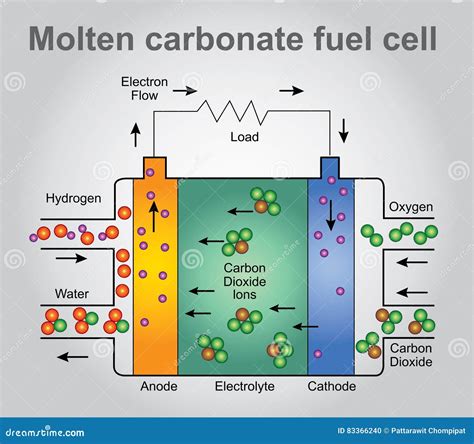 Molten Carbonate Fuel Cells Education Infographic Vector Design Stock Vector Illustration