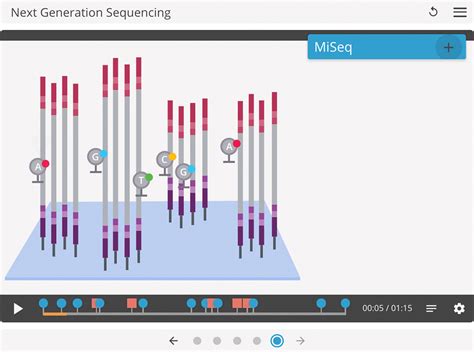 Learnsci Labsim Next Generation Sequencing