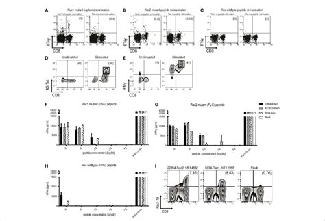 Identification And Isolation Of Mutant Rac12 Specific High Affinity
