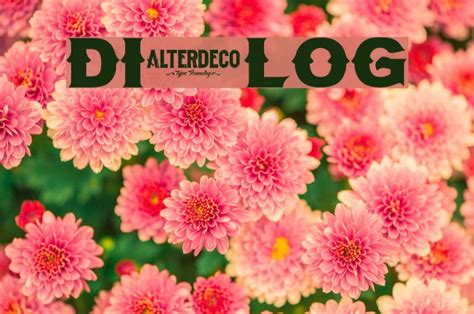 Dialog Font FFonts Net