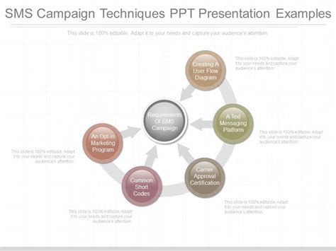 Present Sms Campaign Techniques Ppt Presentation Examples PPT Images Gallery PowerPoint