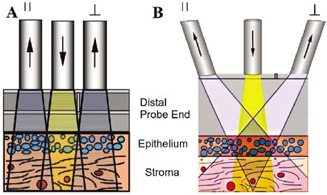Comparison Of Fiber Probe Designs With Straight A And Angled B