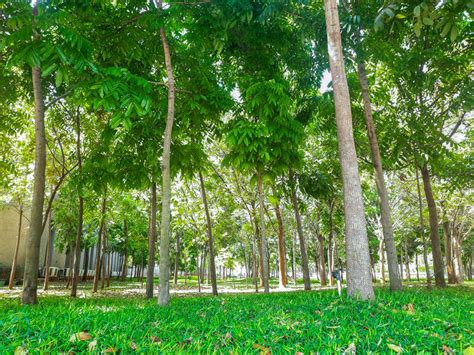 Kalirajan K Posted On Linkedin