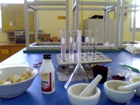 Bonjour A Level Ethanol Emulsion For Testing Of Fats