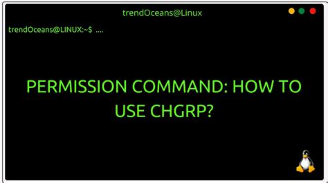 permission command how to use chgrp trend oceans