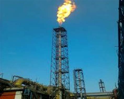 bio gas flare stack system at ₹ 450000 piece gas flare system in pune