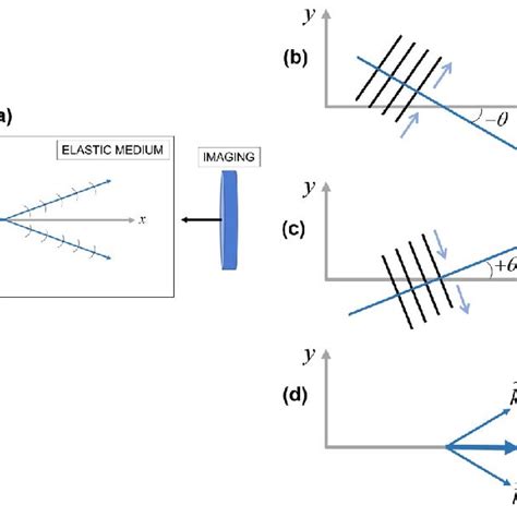 Propagation Of Lamb Waves In Tissues A Thin Plate Type Tissue Download Scientific Diagram