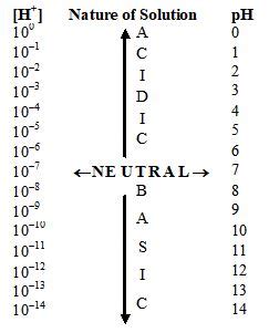 Acids Bases And Salts Practically Study Material