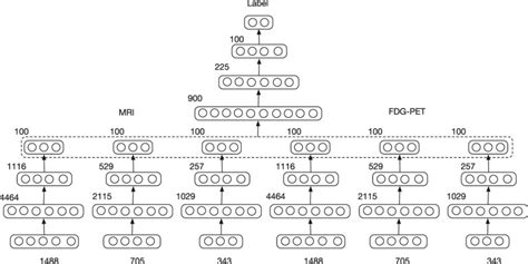 Multimodal And Multiscale Deep Neural Network The Input Feature Download Scientific Diagram