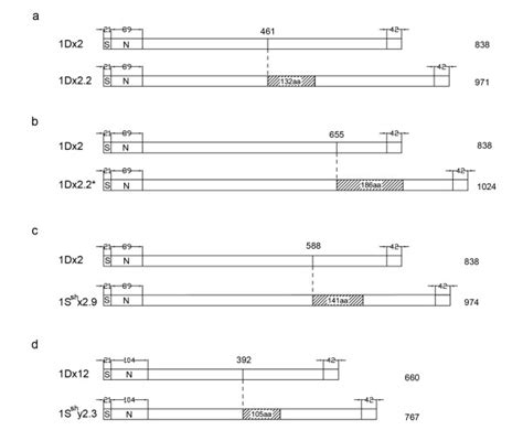 evolutionary relationship between hmw gss alleles of s genomes and