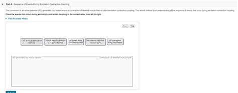 solved part a sequence of events during excitation