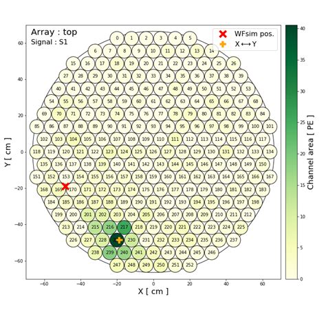 S1s2 Pattern Coordinates · Issue 47 · Xenonntwfsim · Github