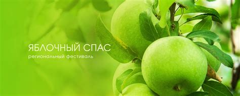 Яблочный Спас Праздник состоится в с 2025 ВКонтакте