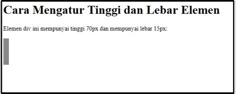 cara mengatur tinggi dan lebar elemen css ayam koding