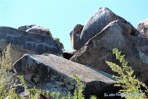 Дуутын хадны сүг зураг Сэлэнгэ аймаг Хушаат сум Flickr