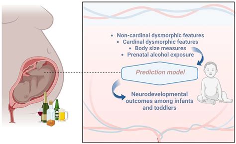Alcohol‐related Dysmorphic Features As Predictors Of Neurodevelopmental