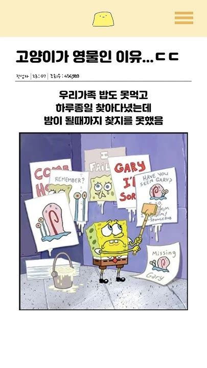 밤 10시에 고양이를 찾아준 의문의 손님 Youtube