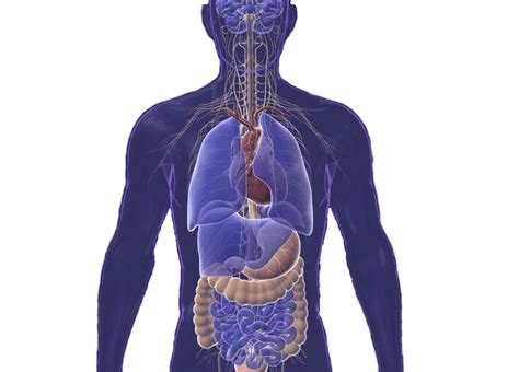 Sparc Portal Sparc Portal