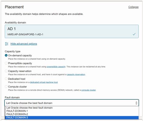 Oracle Fault Domain BIBICA NET
