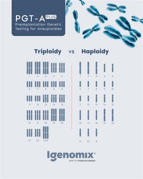 Chromosomal Triploidy Haploidy Vitrolifegroup Igenomix Vitrolife