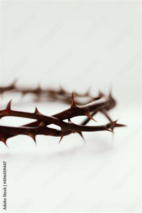 예수그리스도의 십자가 희생과 고난과 부활을 상징하는 가시면류관 그리고 밝은 배경 Photos Adobe Stock