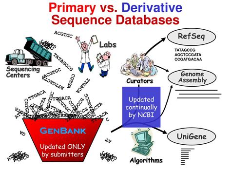 Ppt Overview Of Biological Databases Powerpoint Presentation Free Download Id 315840