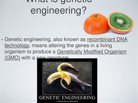 Ppt What Is Genetic Engineering Powerpoint Presentation Free Download Id 3729395