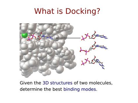 Pdf What Is Docking Washington University In St Louisdasherwustl
