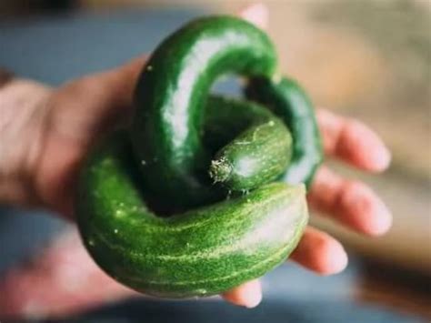 How To Integrate Cucumber With Rest Assured For Effective Api Testing