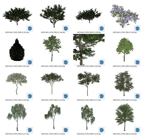 7586 Free Sketchup Trees Models