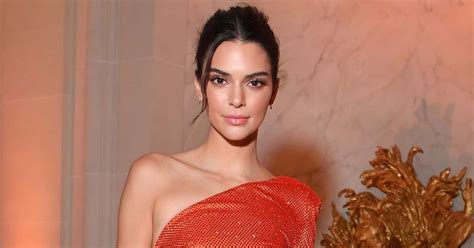 Kendall Jenner S Secret Is Out Why We Never Saw Her Boyfriends On Kuwtk Meaww