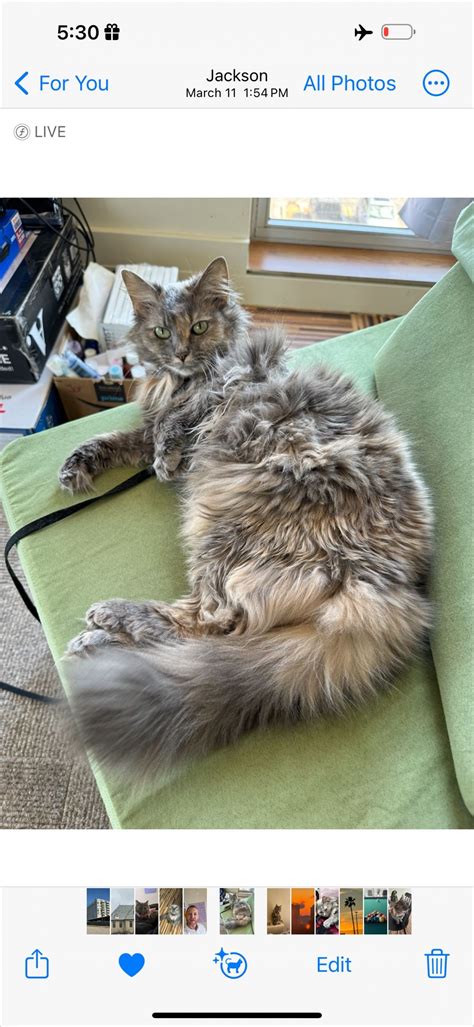 Jon Casey ☘️ “jc” On Linkedin The Famous Jon Casey Is 34 Years Old Today — 4 6 90 Aries