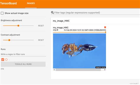 深度学习：pytorch 图片呈现 Tensorboard Addimage控制台自学调试检验，含终极代码怎样将tensorboard