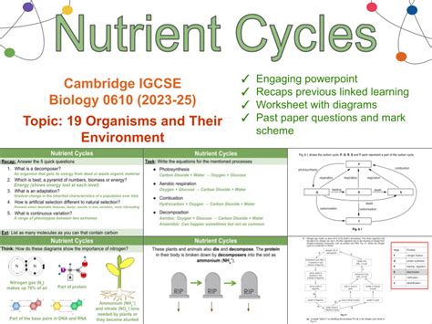 Nutrient Cycles The Carbon Cycle And The Nitrogen Cycle Teaching