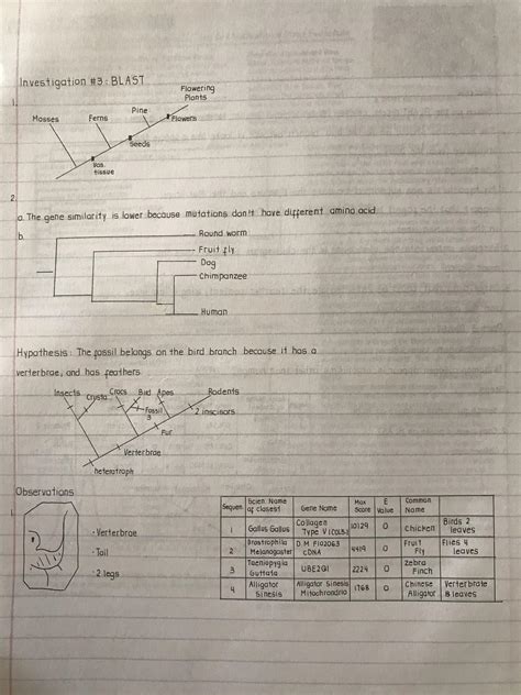 My Science Notes R PenmanshipPorn