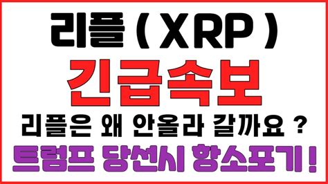 리플코인 긴급속보 리플은 왜 안올라 갈까요 트럼프 당선시 항소포기 불독코인프리세일코인시바이누코인리플